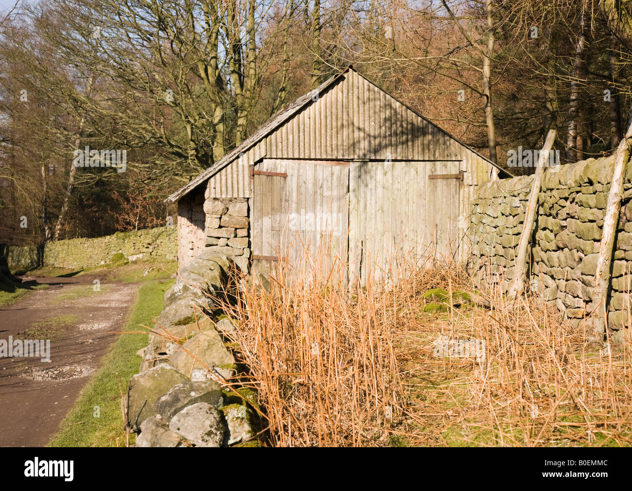 Silver shed hi-res stock photography and images - Alamy