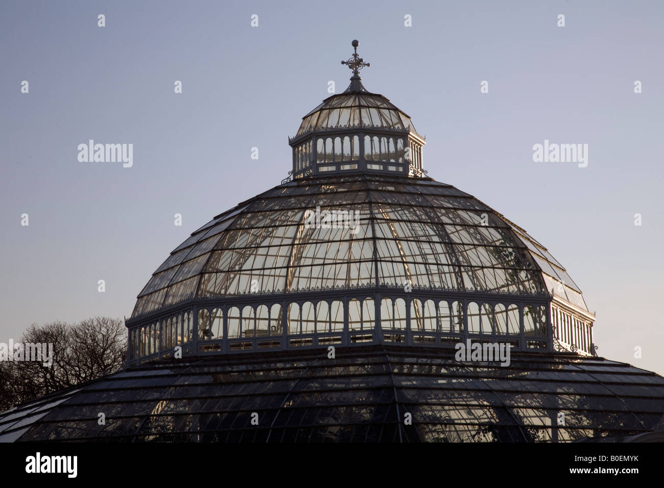 Park palm house greenhouse tropical dome glasshouse botanical plants ...