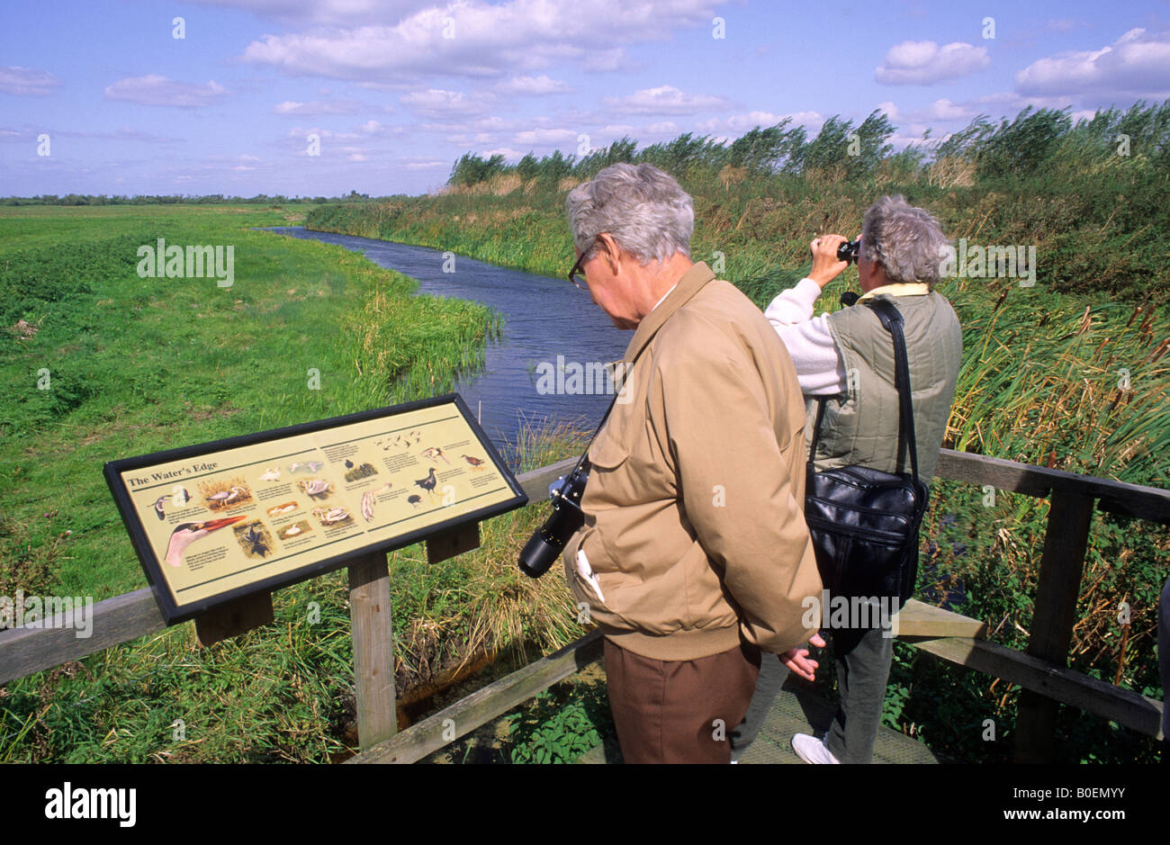 People Bird Watching Bird Reserve Norfolk Wildfowl Trust Welney retired ...