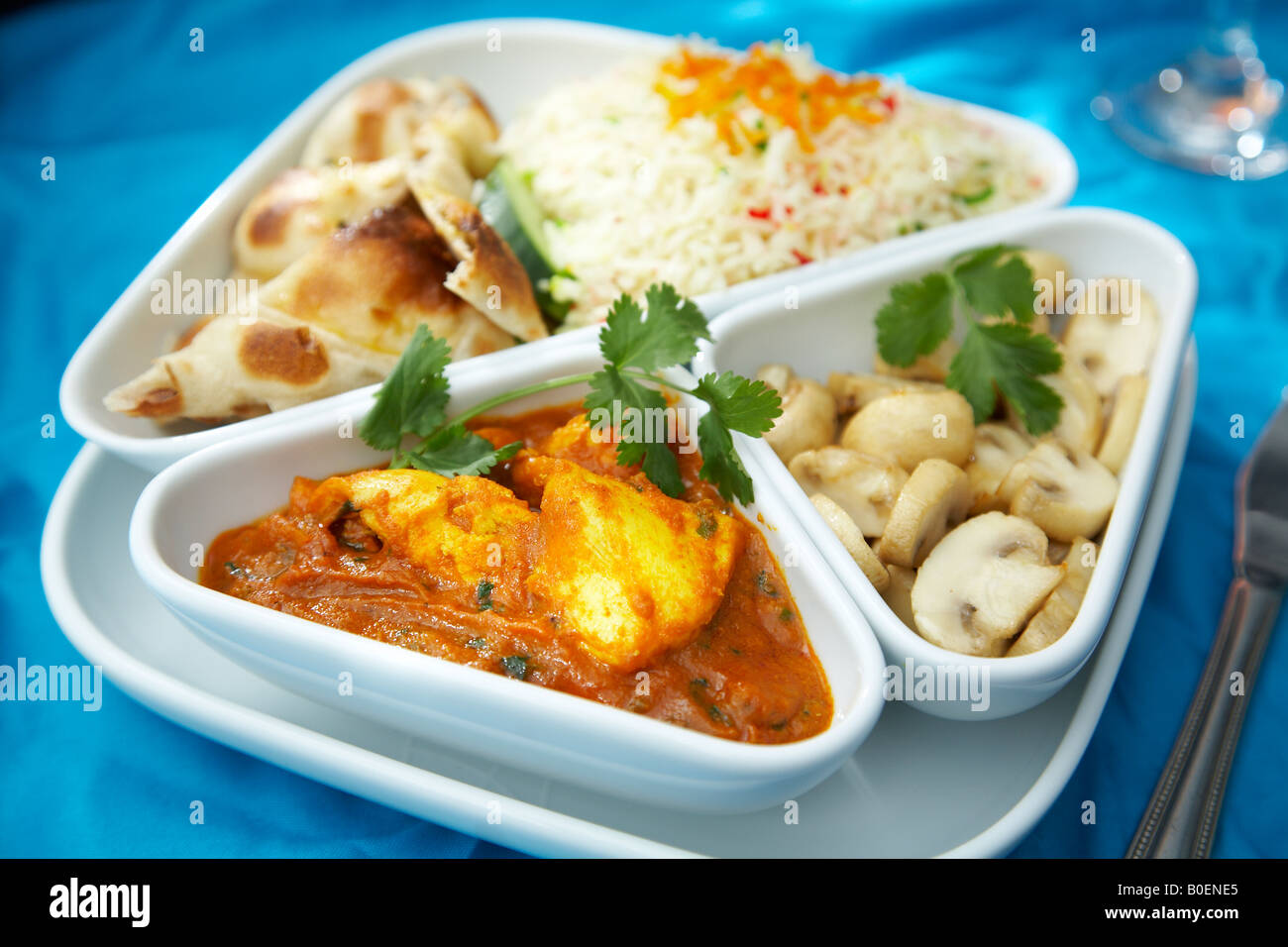 Indian set lunch meal, chicken curry, mushrooms, rice and naan Stock ...
