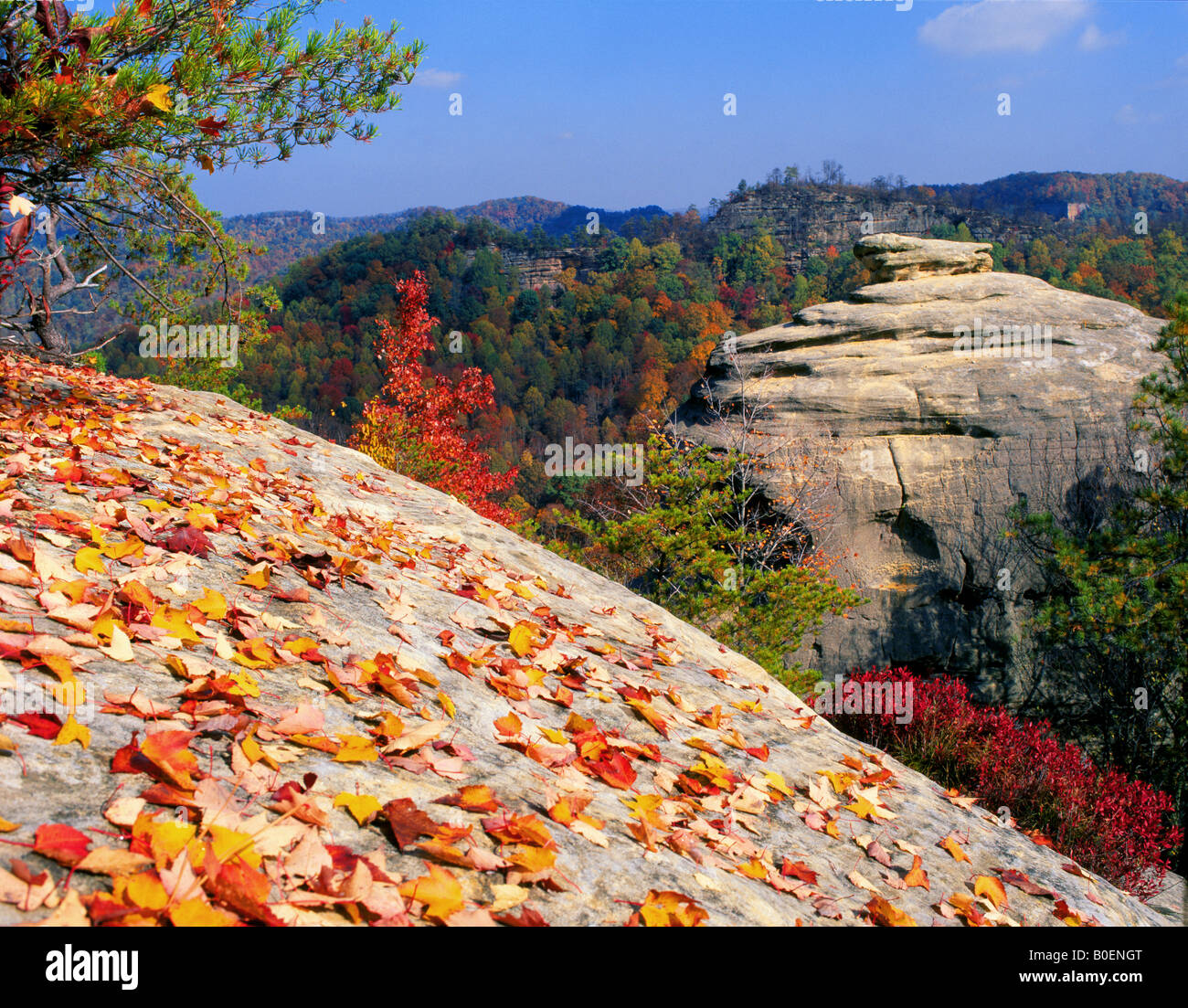 rock formations an fall colors Stock Photo - Alamy