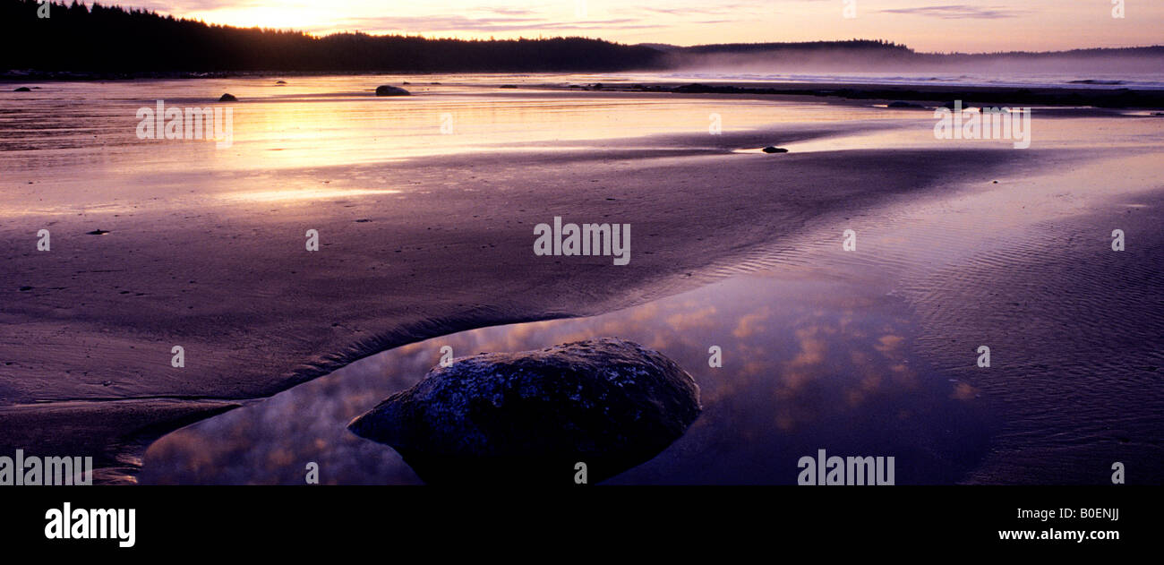 Pacific coast at Sand Point, Lake Ozette Trail, Olympic National Park ...