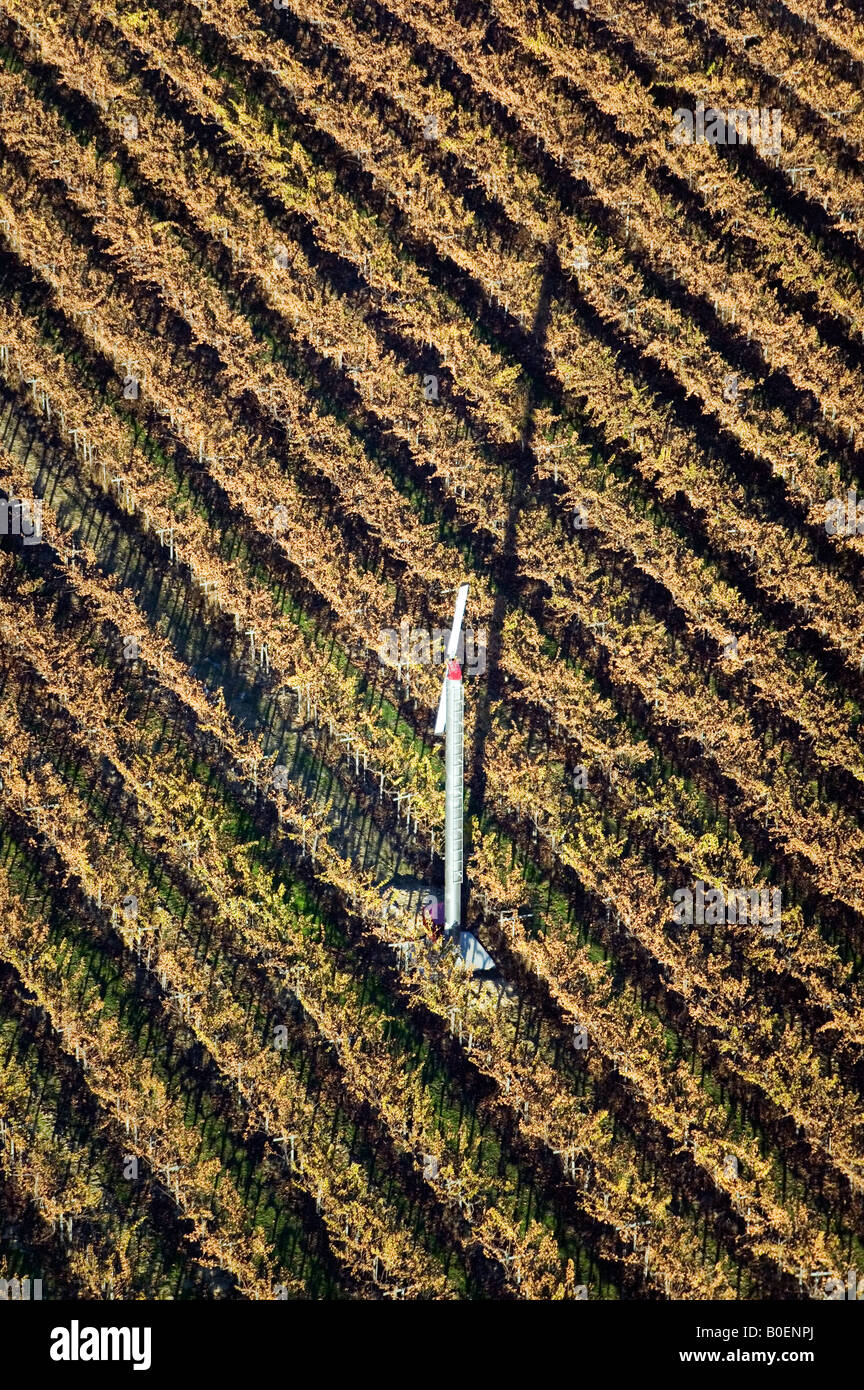 aerial view above frost prevention wind machine Napa vineyard rows ...