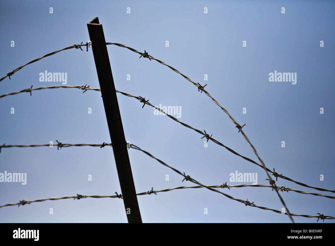 Barb wire fence image Stock Photo - Alamy