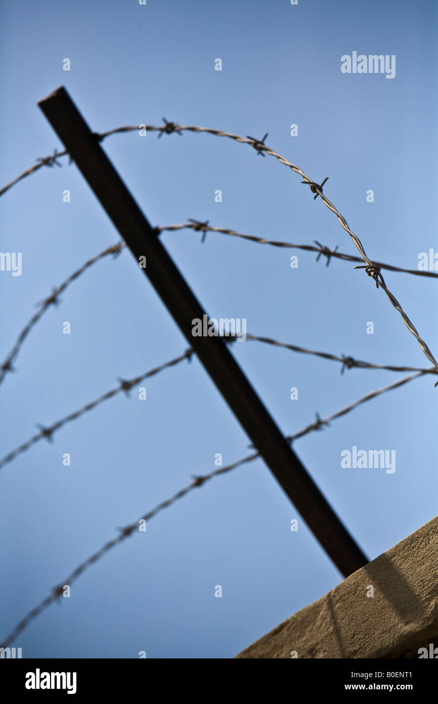 Barb Wire Fence Building Guide