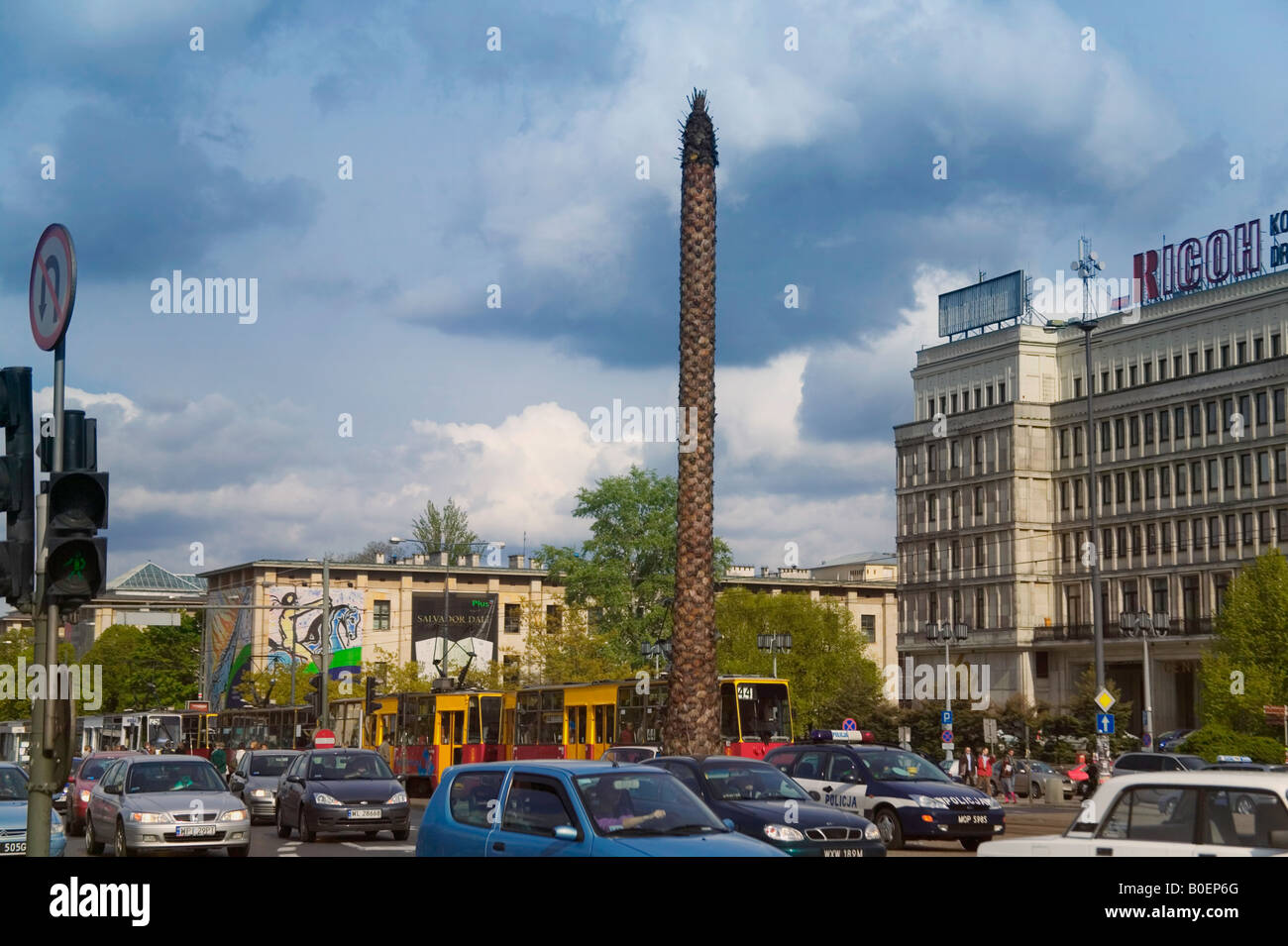 Palm tree without leaves on busy street Warsaw Poland Stock Photo - Alamy
