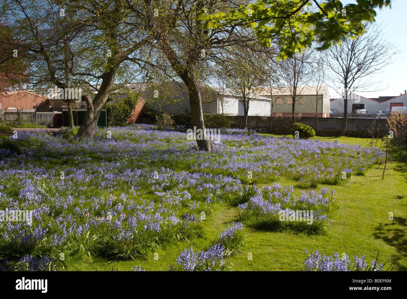 English bells hi-res stock photography and images - Alamy