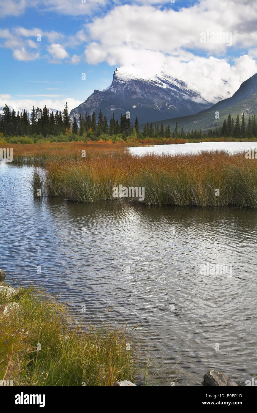 Shallow lake small islands hi-res stock photography and images - Alamy