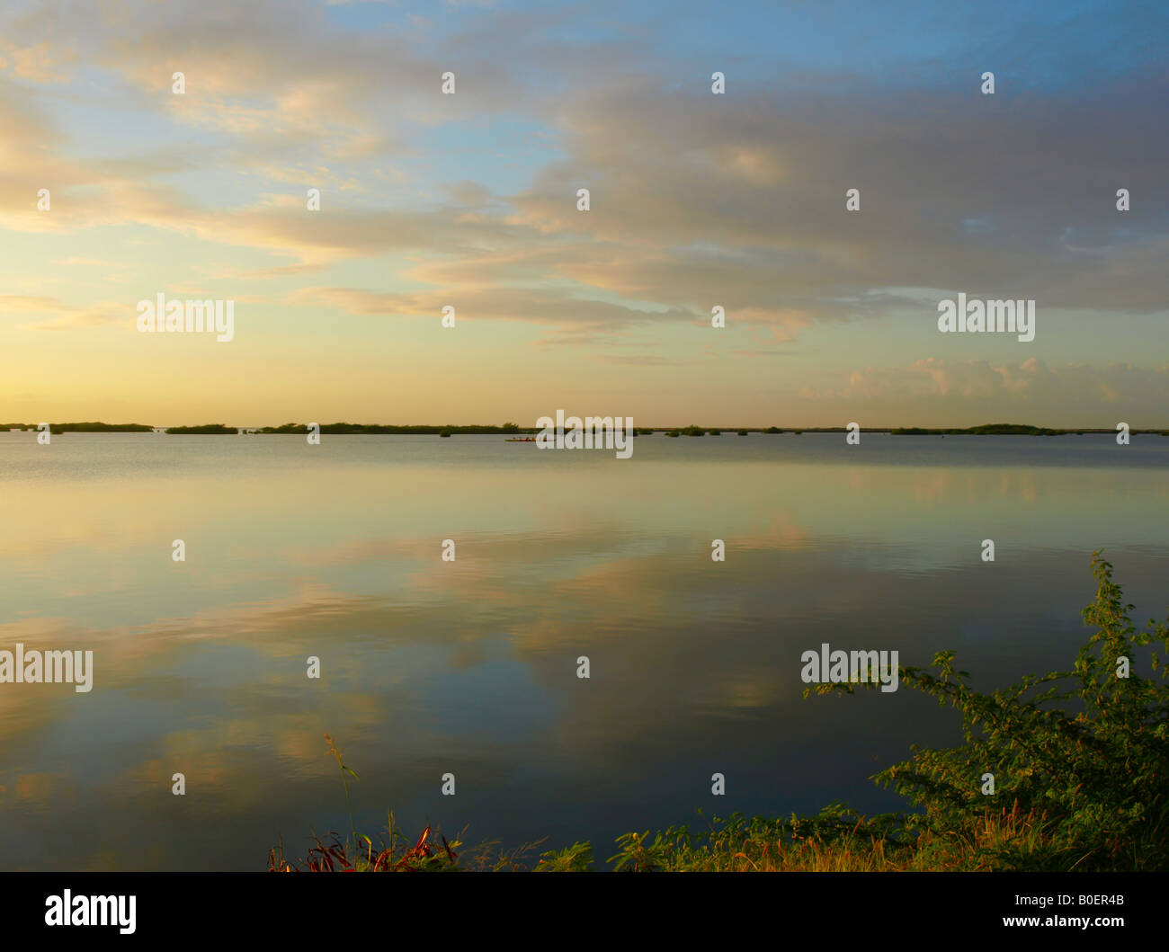 Over the ocean hi-res stock photography and images - Alamy