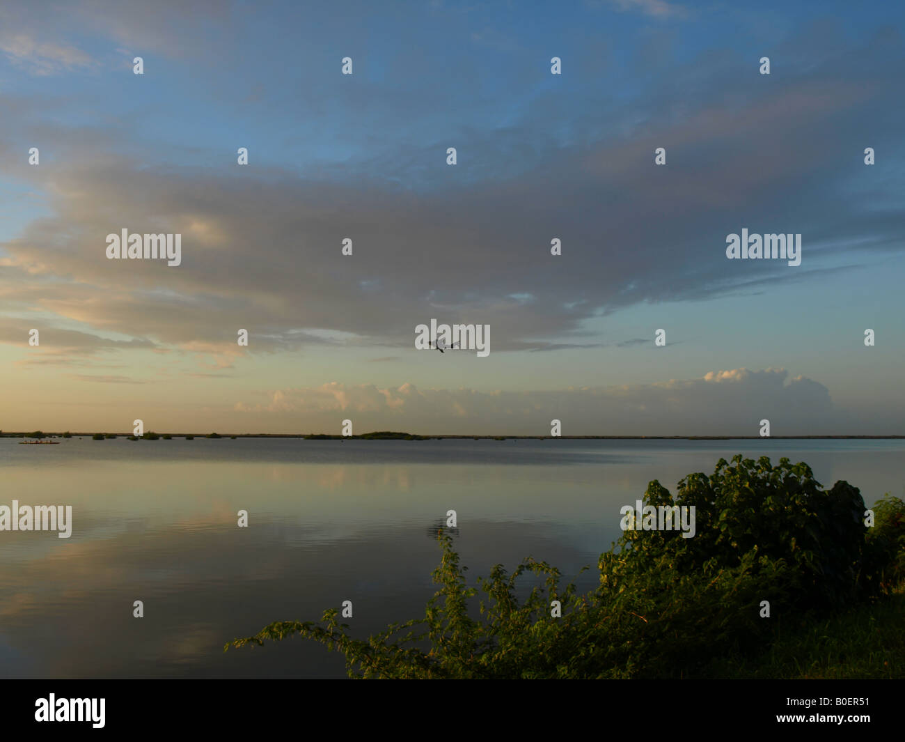 Plane over water hi-res stock photography and images - Alamy