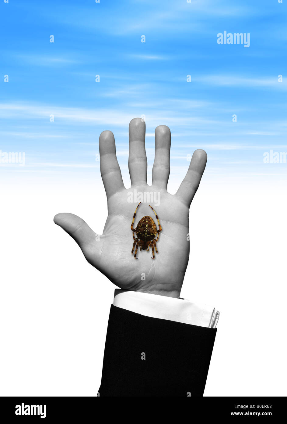 Spider Bite Hand High Resolution Stock Photography and Images - Alamy