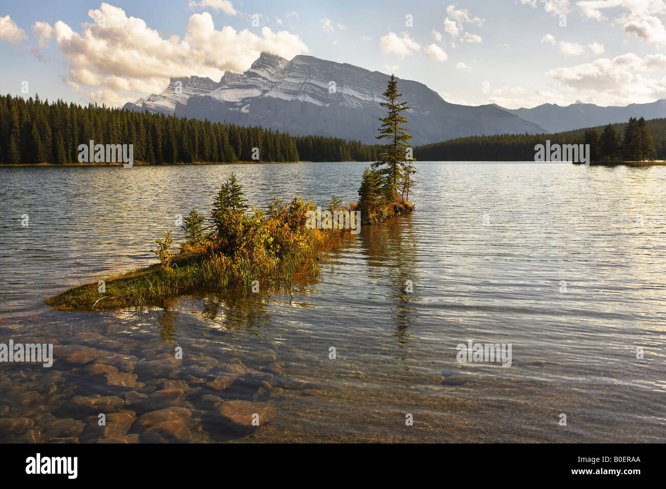 A small tree growing on a shallow of mountain lake in Canada Stock ...