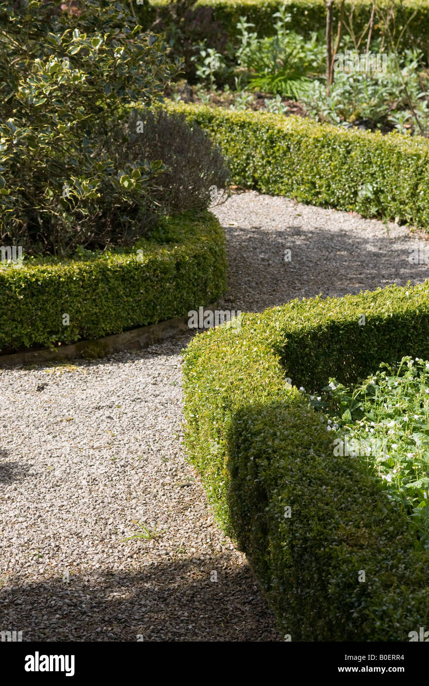 low box hedge and gravel path in formal garden Stock Photo - Alamy