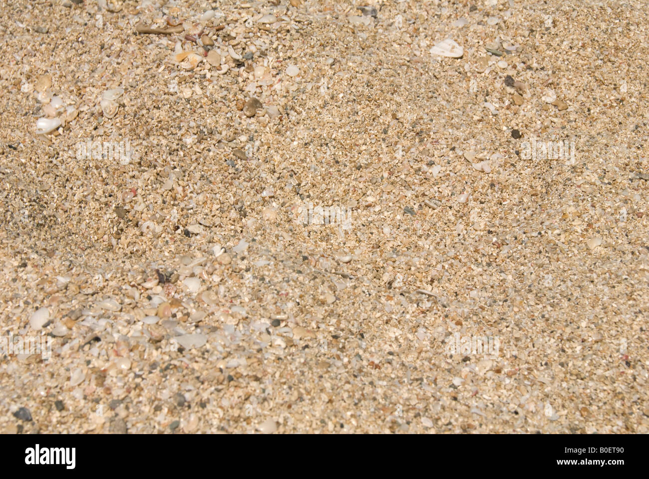 Close up sand hi-res stock photography and images - Alamy