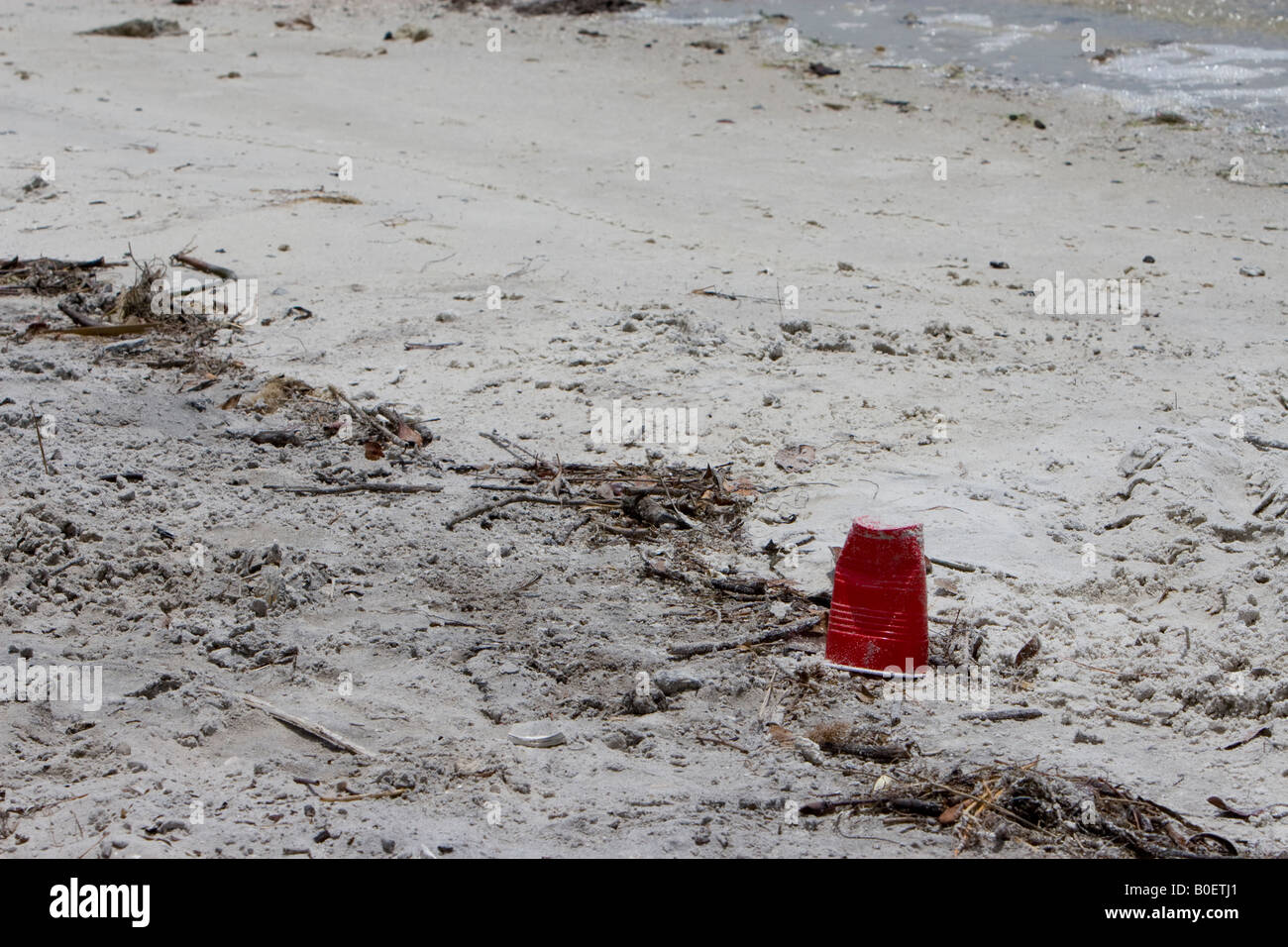 Trash Littering the Beach Stock Photo - Alamy