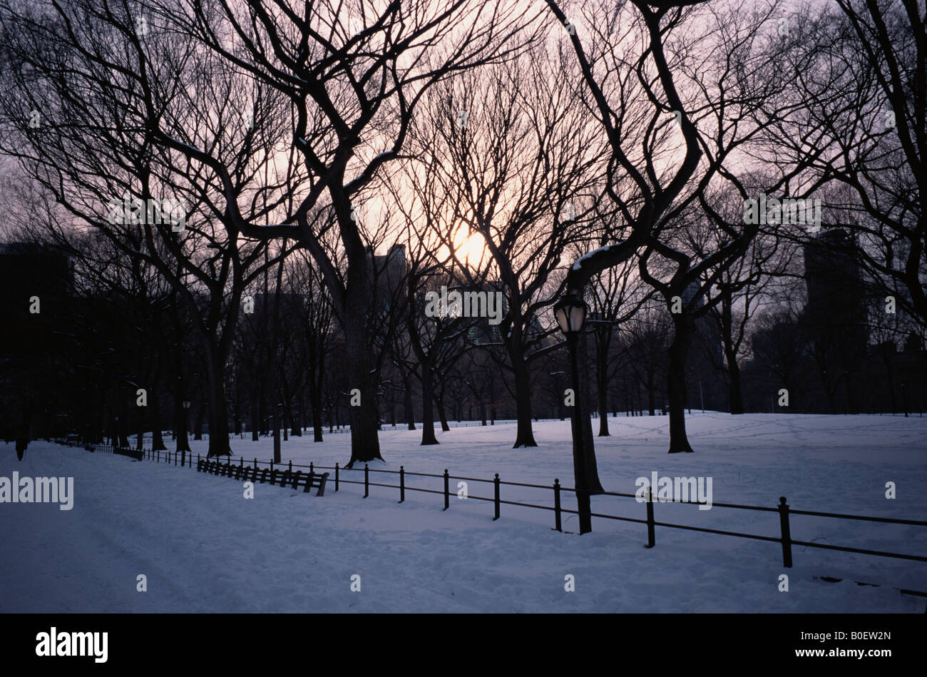 Park In Winter Stock Photo - Alamy