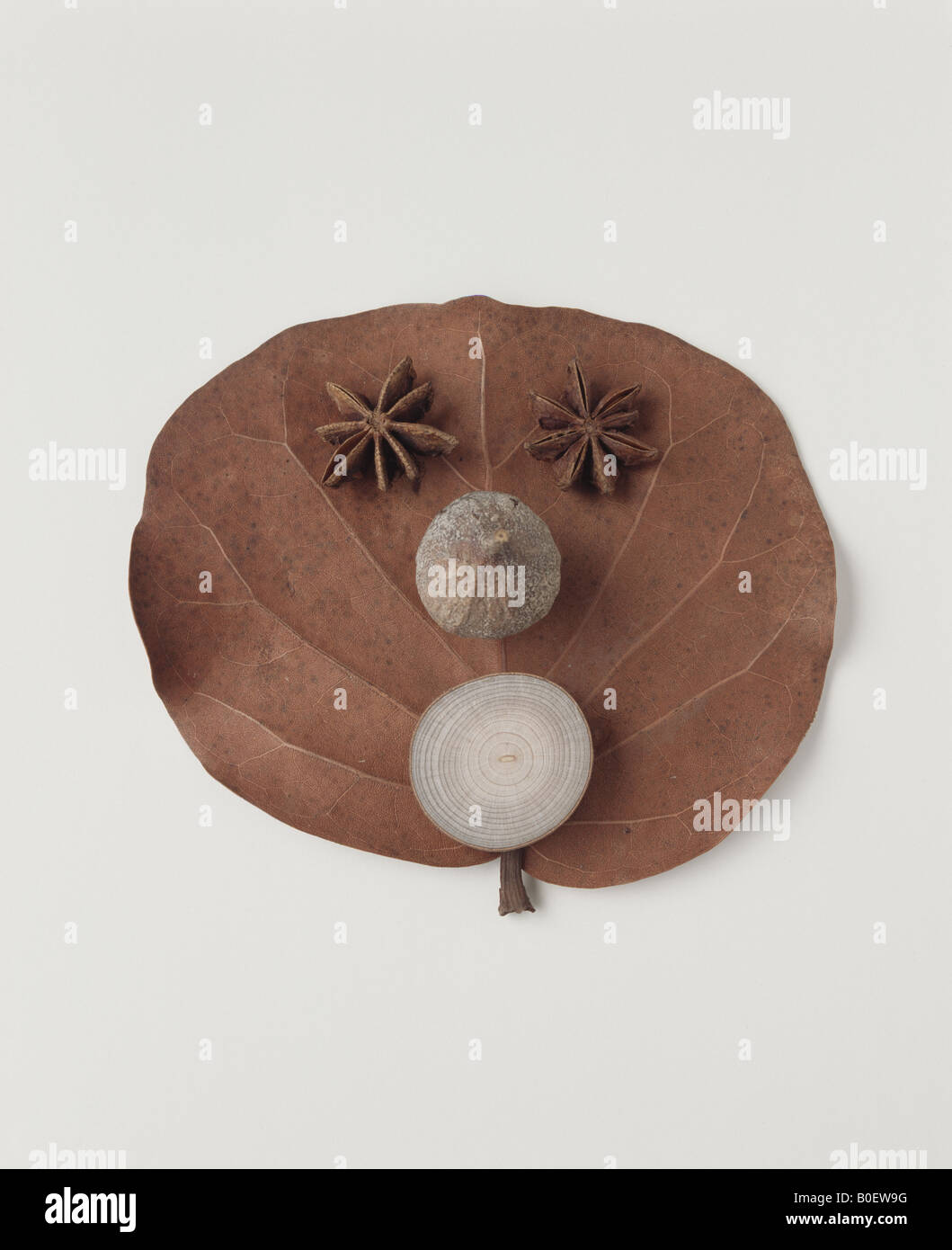 Face Made From Leaf Stock Photo - Alamy