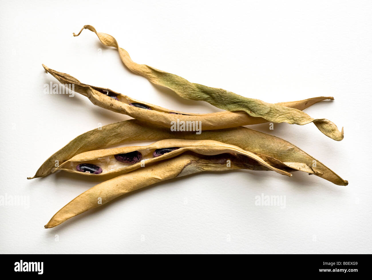 Dried runner beans hi-res stock photography and images - Alamy