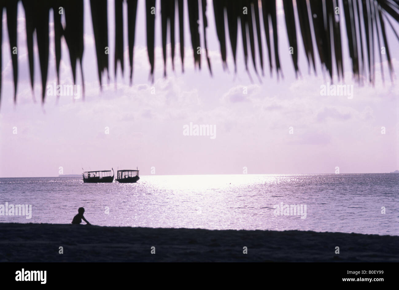 Sunset With A Coconut Tree Stock Photo - Alamy