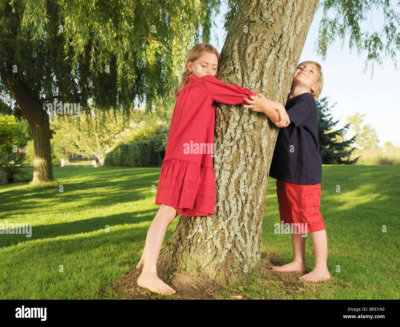 Young boy and girl hugging tree Stock Photo - Alamy