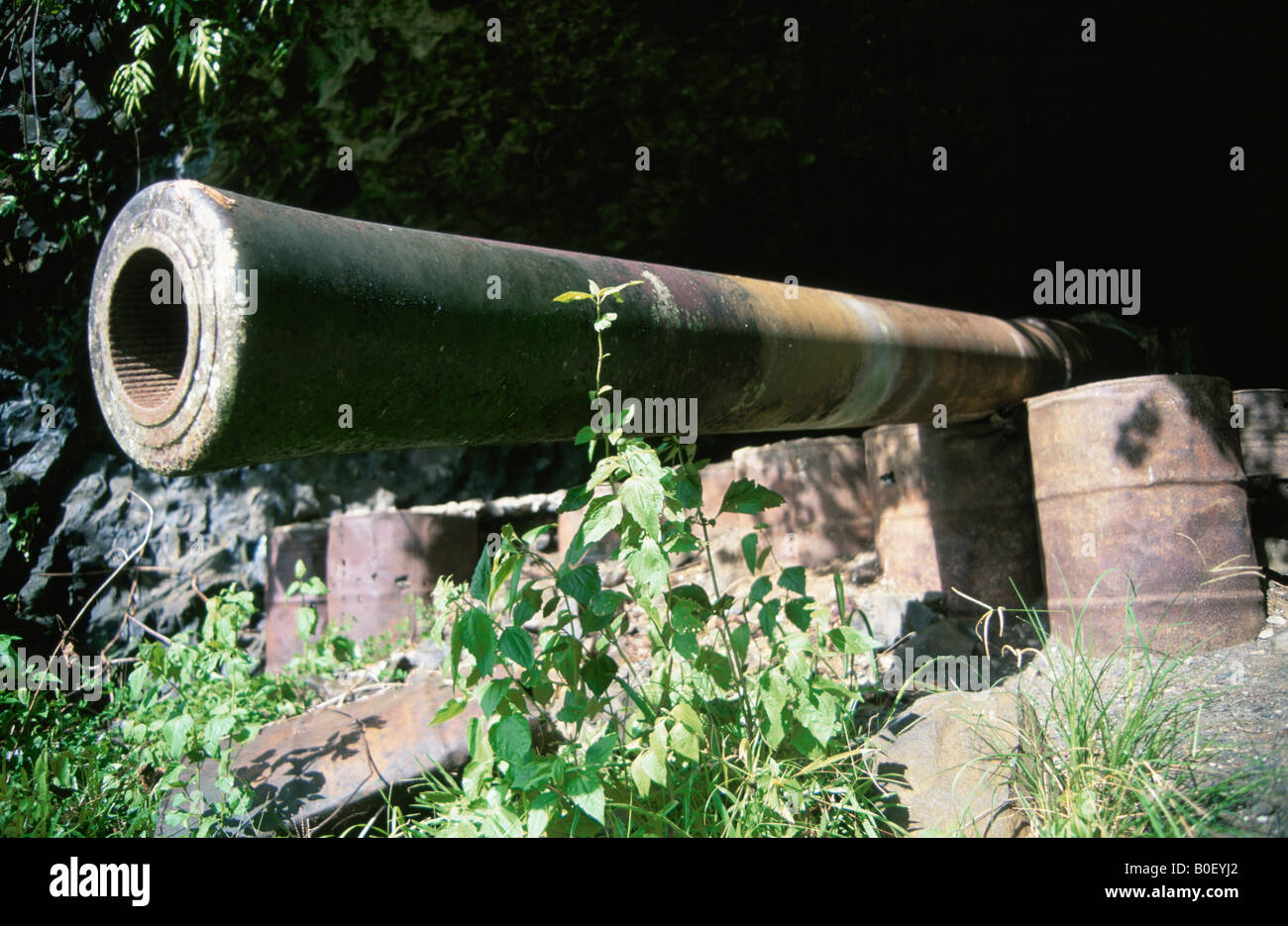 World war ii cannons hi-res stock photography and images - Alamy