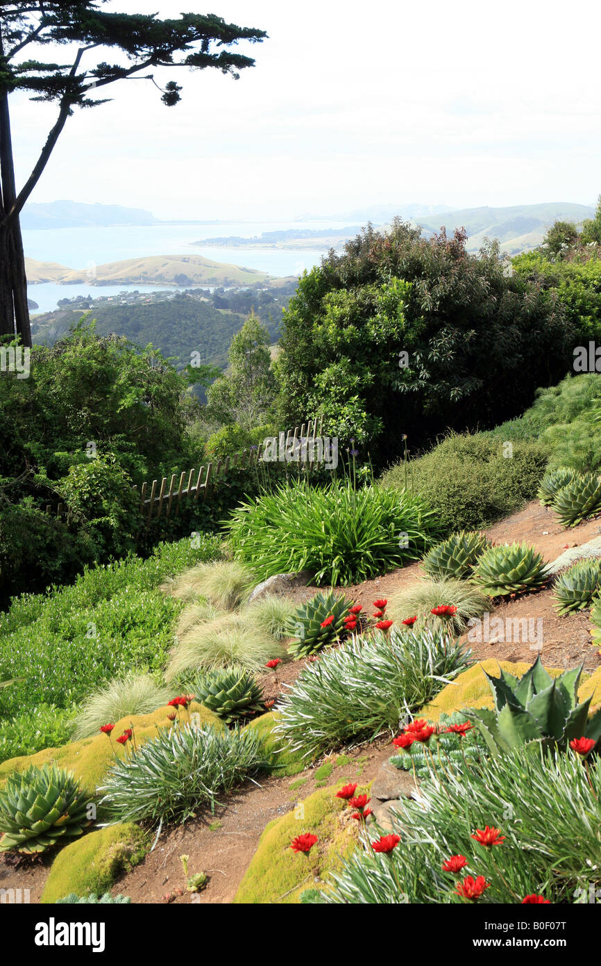The gardens of Larnach castle near Dunedin New Zealand Stock Photo - Alamy