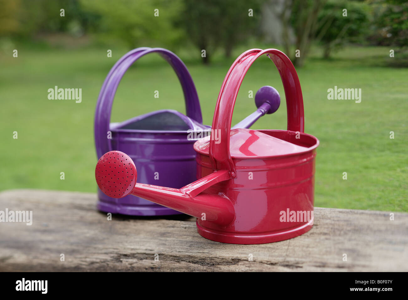 Two coloured watering cans in a garden Stock Photo - Alamy