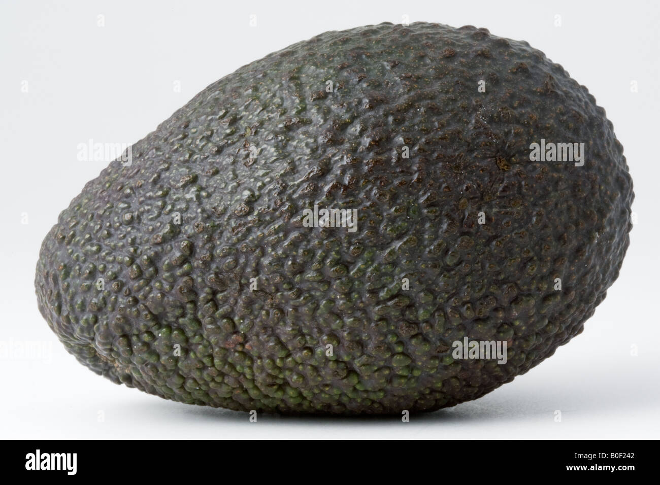 Avocado London England United Kingdom Stock Photo - Alamy