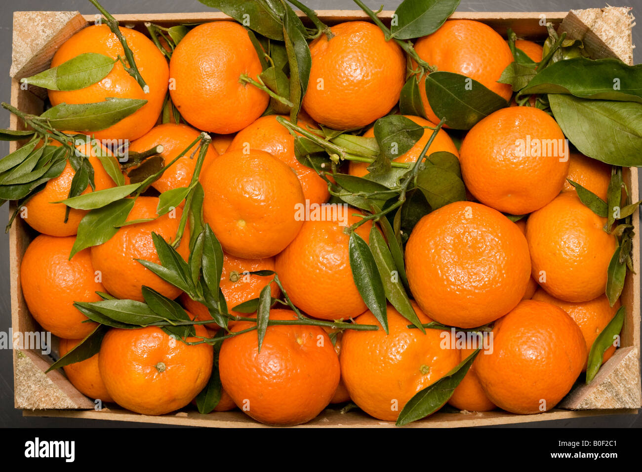 Box of clementines London England United Kingdom Stock Photo - Alamy