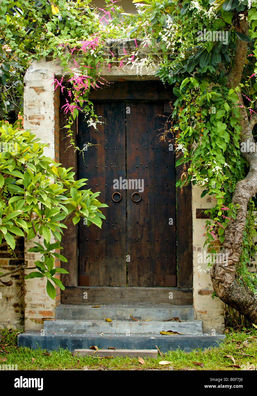 Gate and garden of a home in Southeast Asia Stock Photo - Alamy