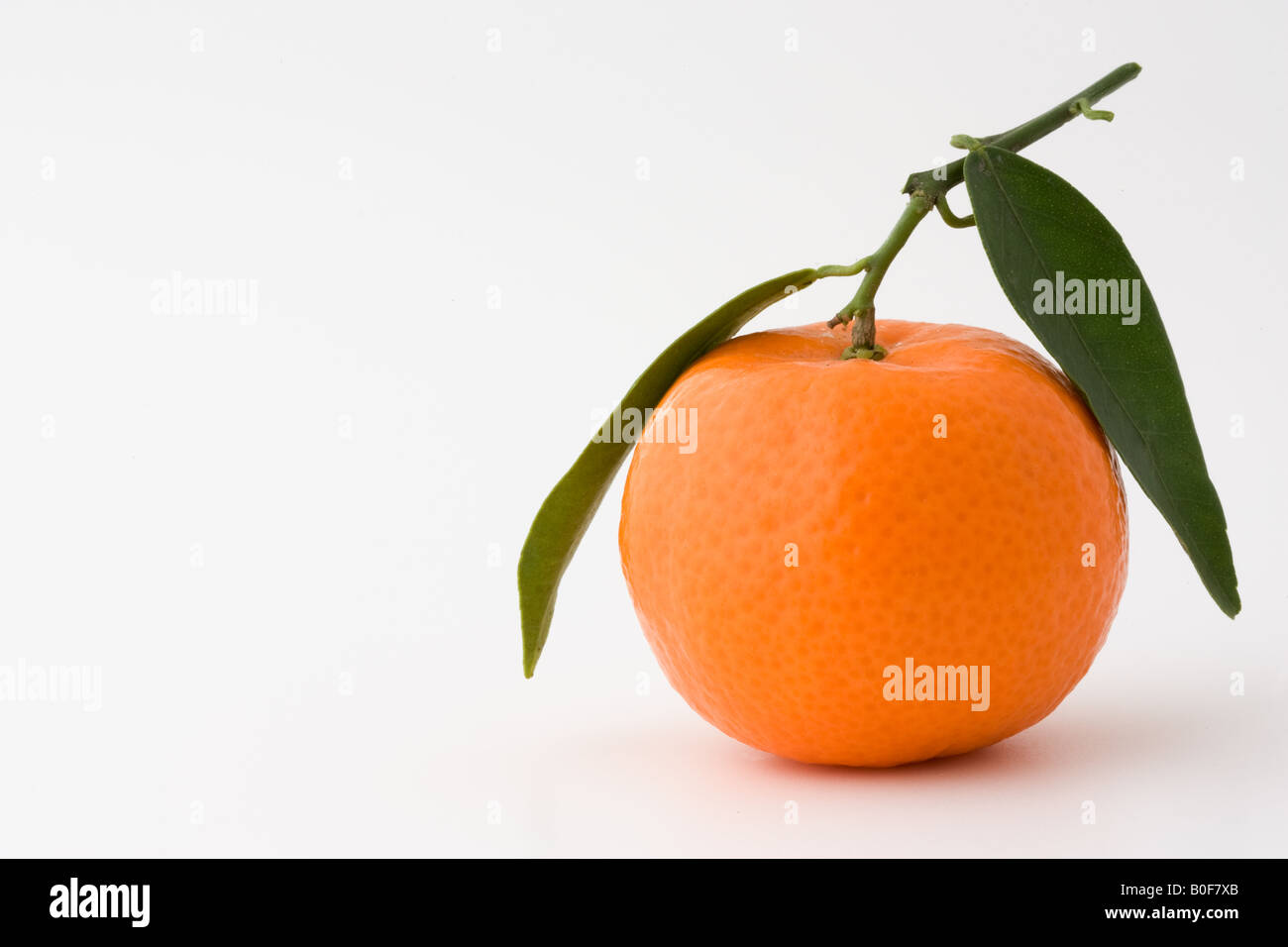 Clementine hi-res stock photography and images - Alamy