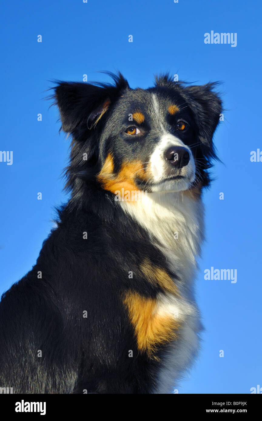 Supercilious hi-res stock photography and images - Alamy