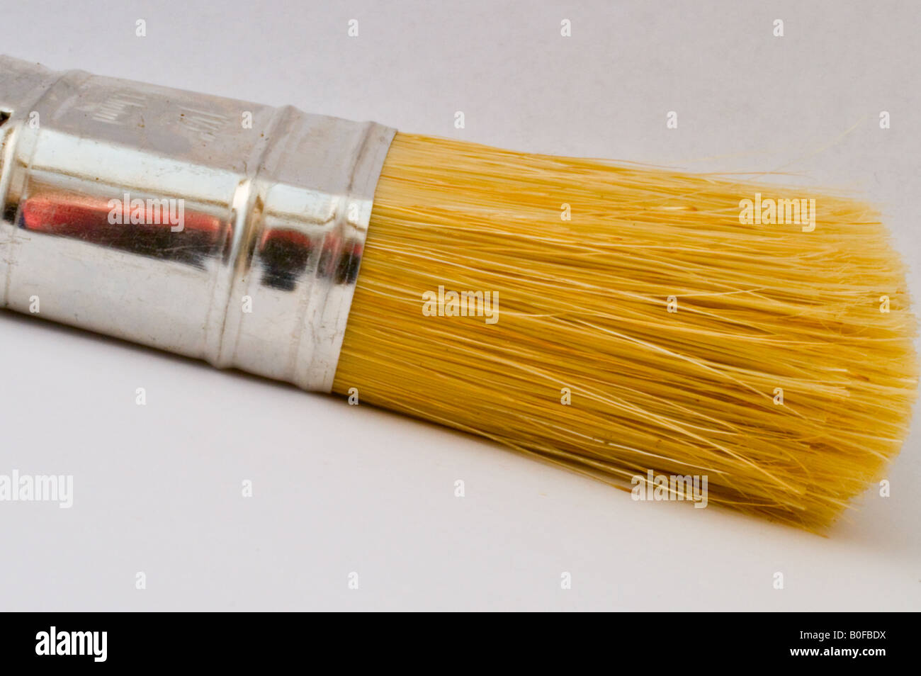 Paint brush close up Stock Photo - Alamy