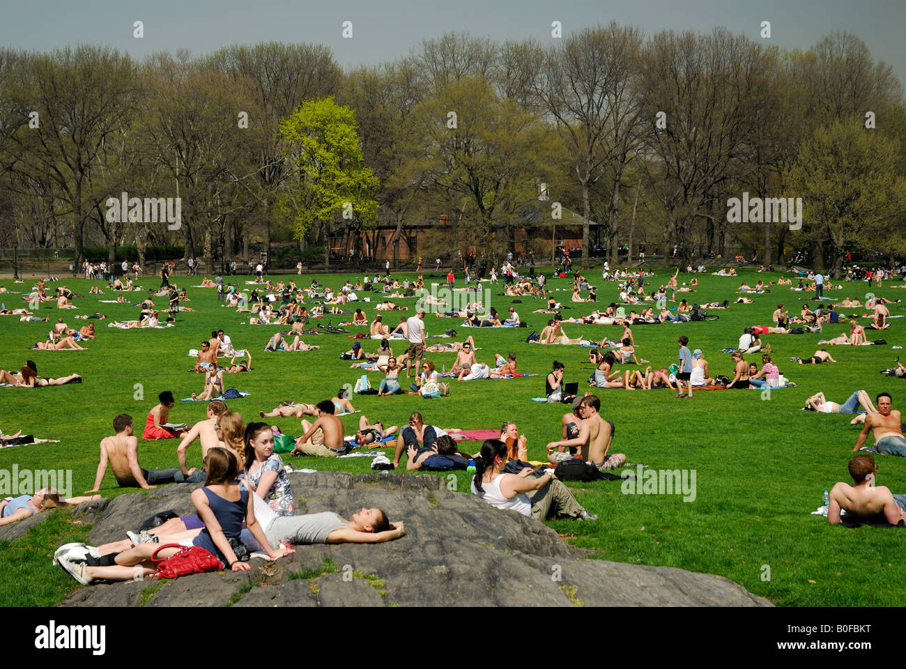 People Sunbathing In Park Stock Photos & People Sunbathing In Park ...