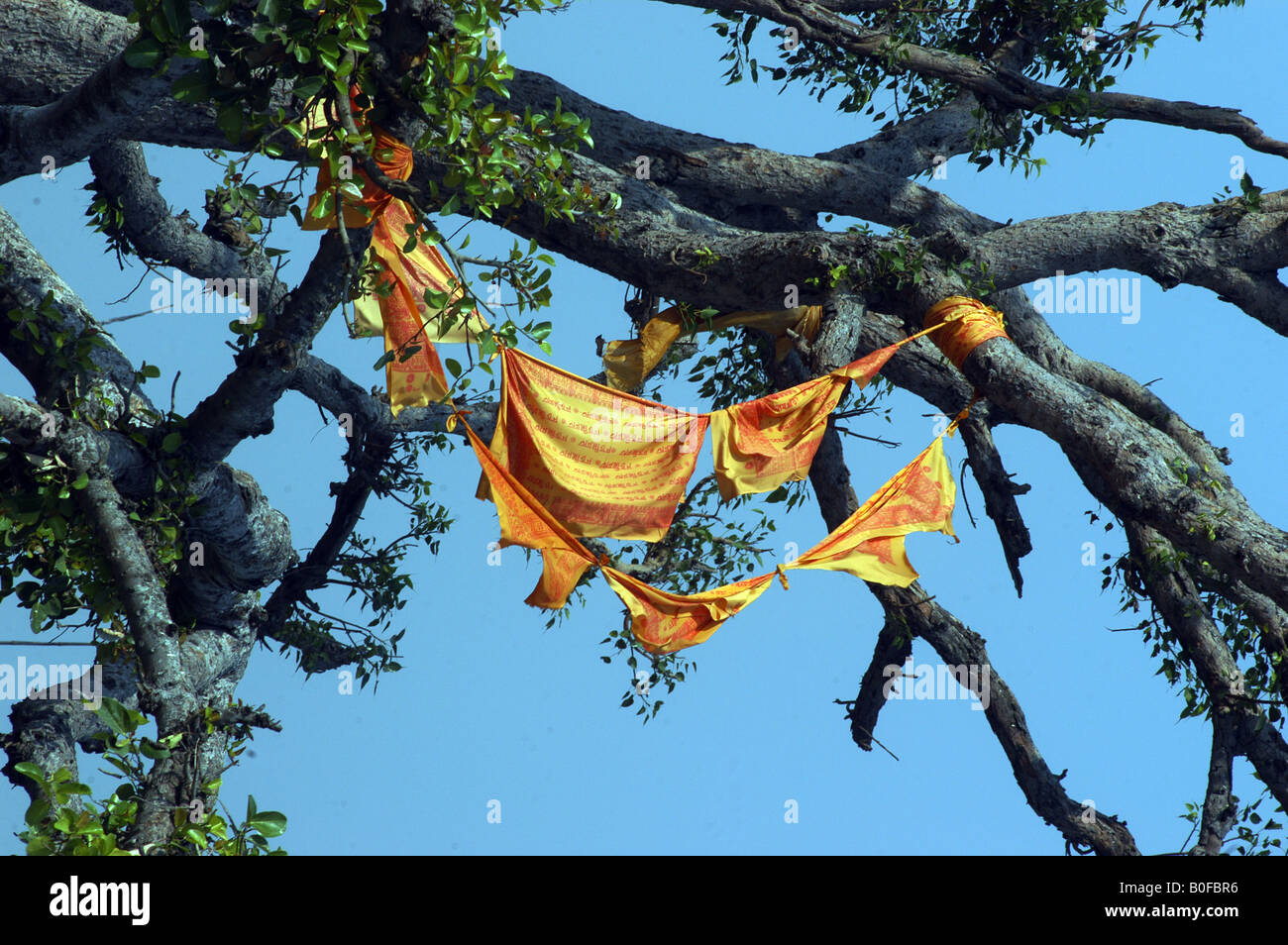 Hindu prayer flags hi-res stock photography and images - Alamy