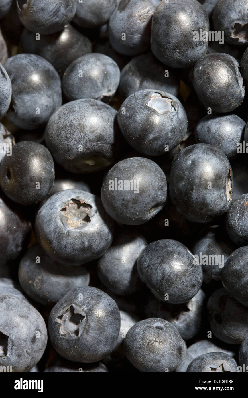 Blueberries fruit organic vertical hi-res stock photography and images ...