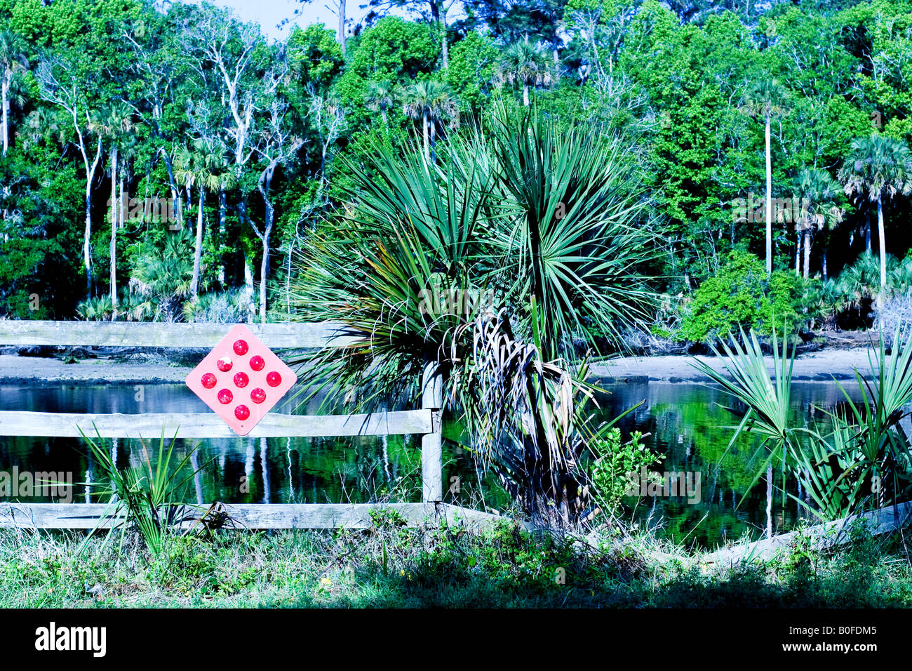 End palm tree hi-res stock photography and images - Alamy