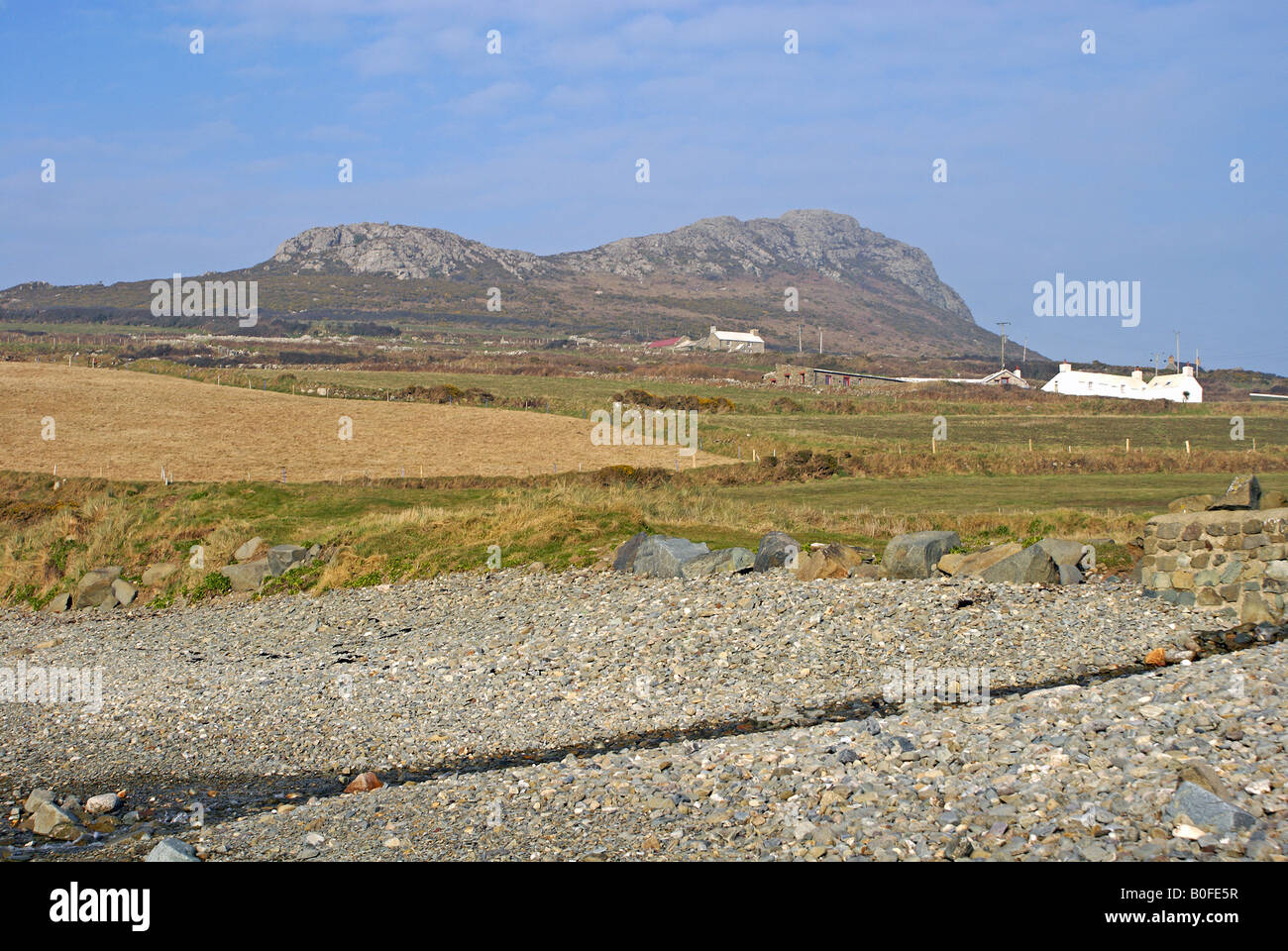 Carn Llidi near St Davids in Pembrokeshire Stock Photo - Alamy