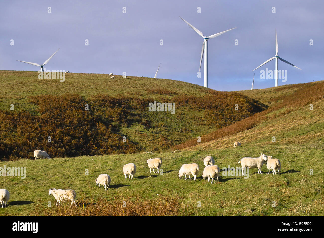 Turbine windmill generators Dun Law windfarm on Soutra Hill Scottish ...