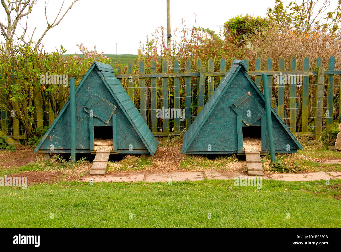 Two chicken coops Stock Photo - Alamy