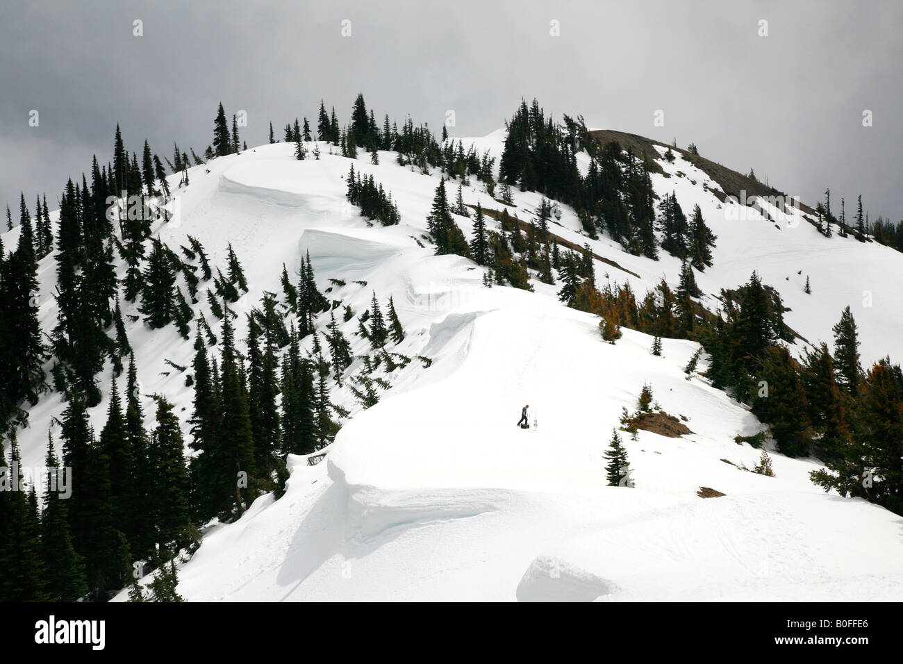 Backcountry skiing along Hurricane Ridge in winter, headed towards ...