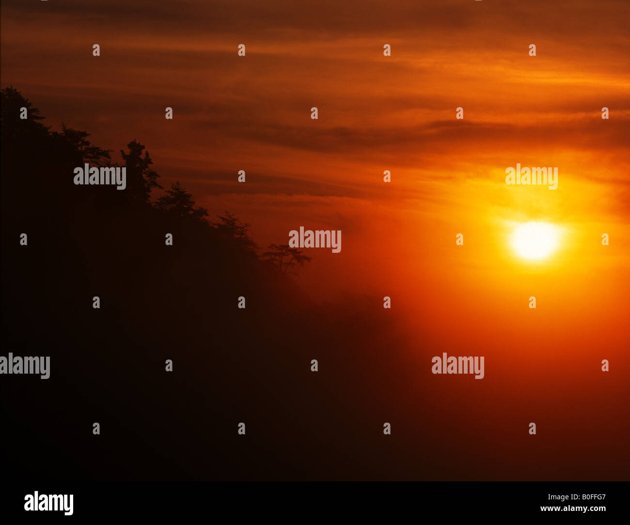 sunrise through fog Stock Photo - Alamy