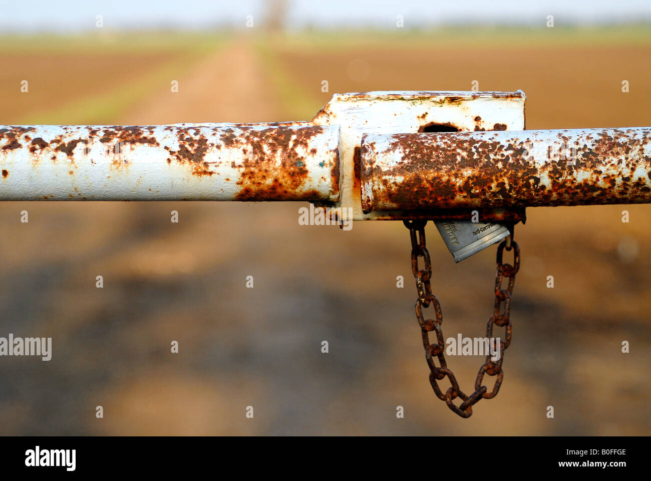 Gate lock looking through the field in the fens Stock Photo - Alamy