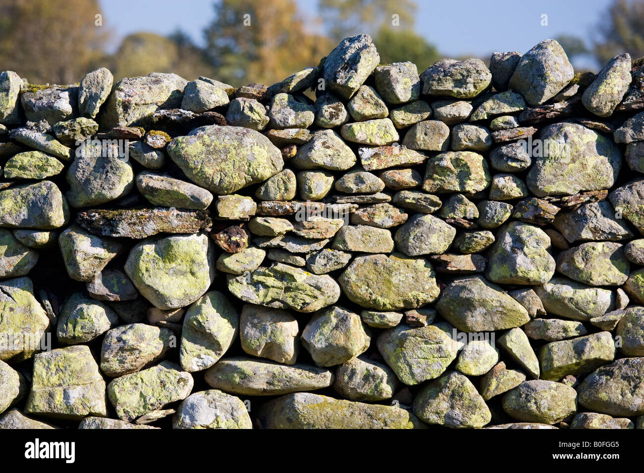 Dry stone wall Lake District England United Kingdom Stock Photo - Alamy
