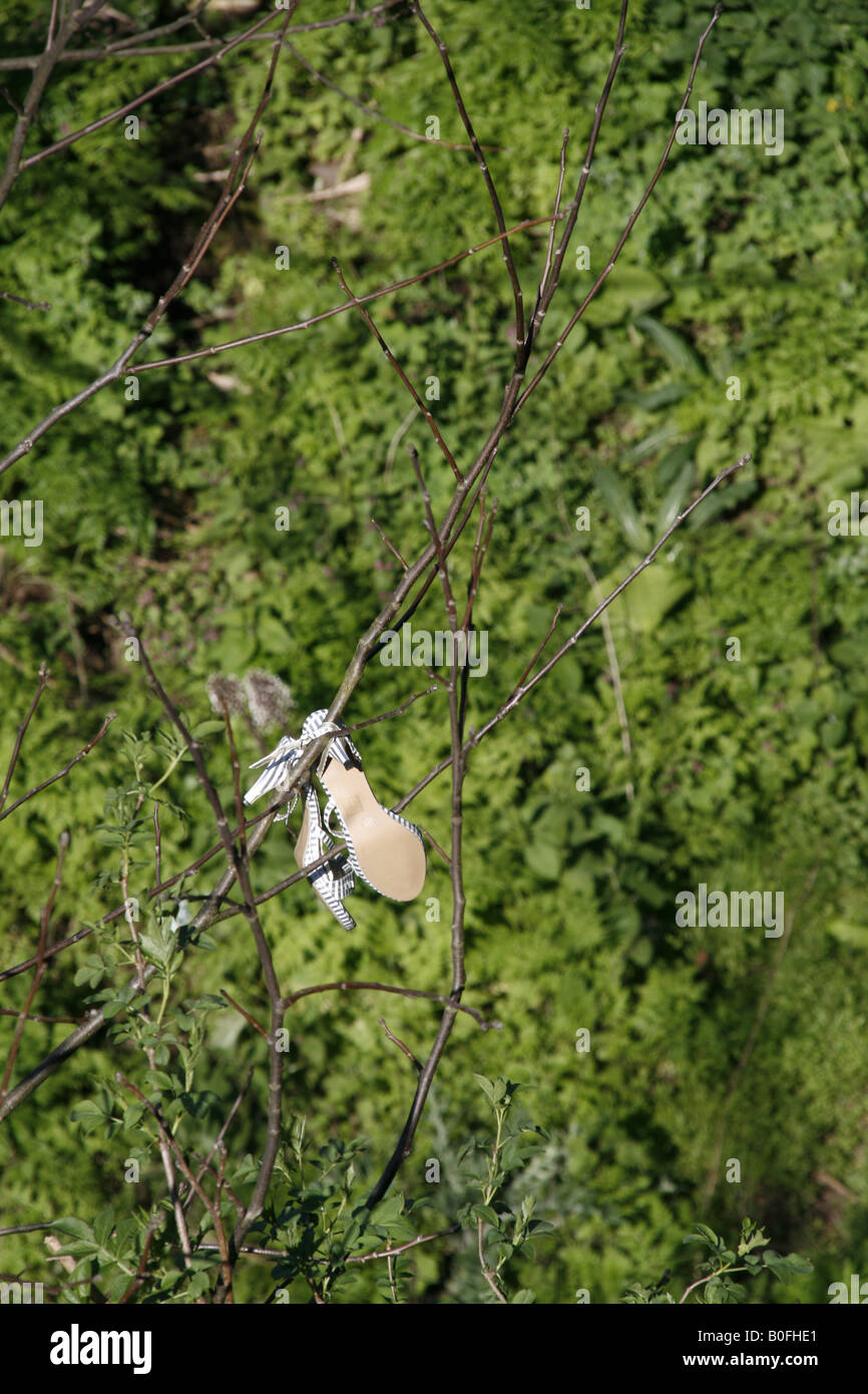 Heels and branches hi-res stock photography and images - Alamy