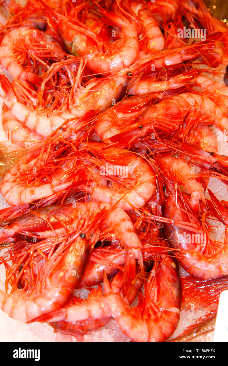 Prawns La Boqueria Market Barcelona Catalonia Spain Stock Photo - Alamy
