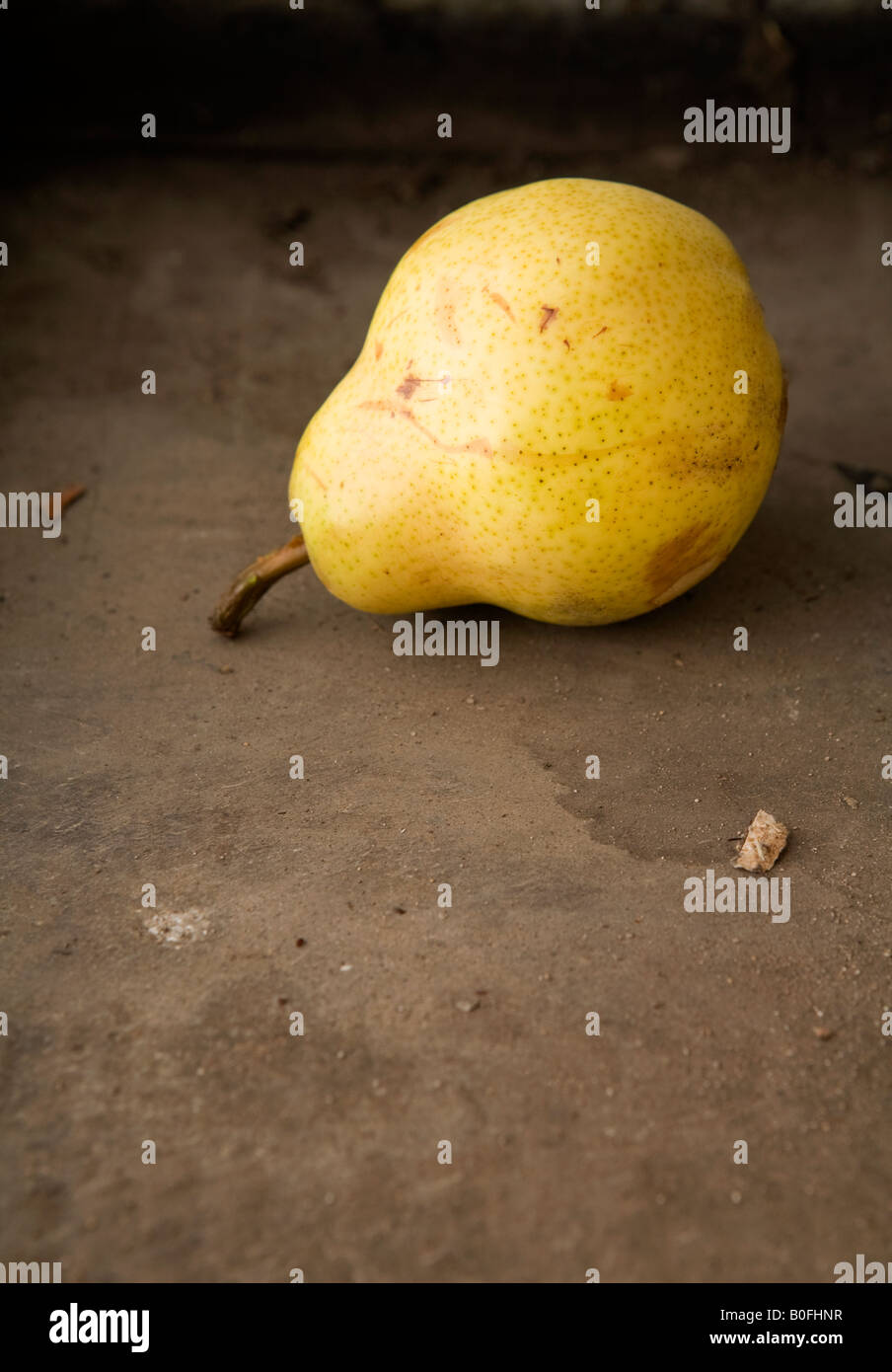 Pear Fallen to Ground Stock Photo - Alamy