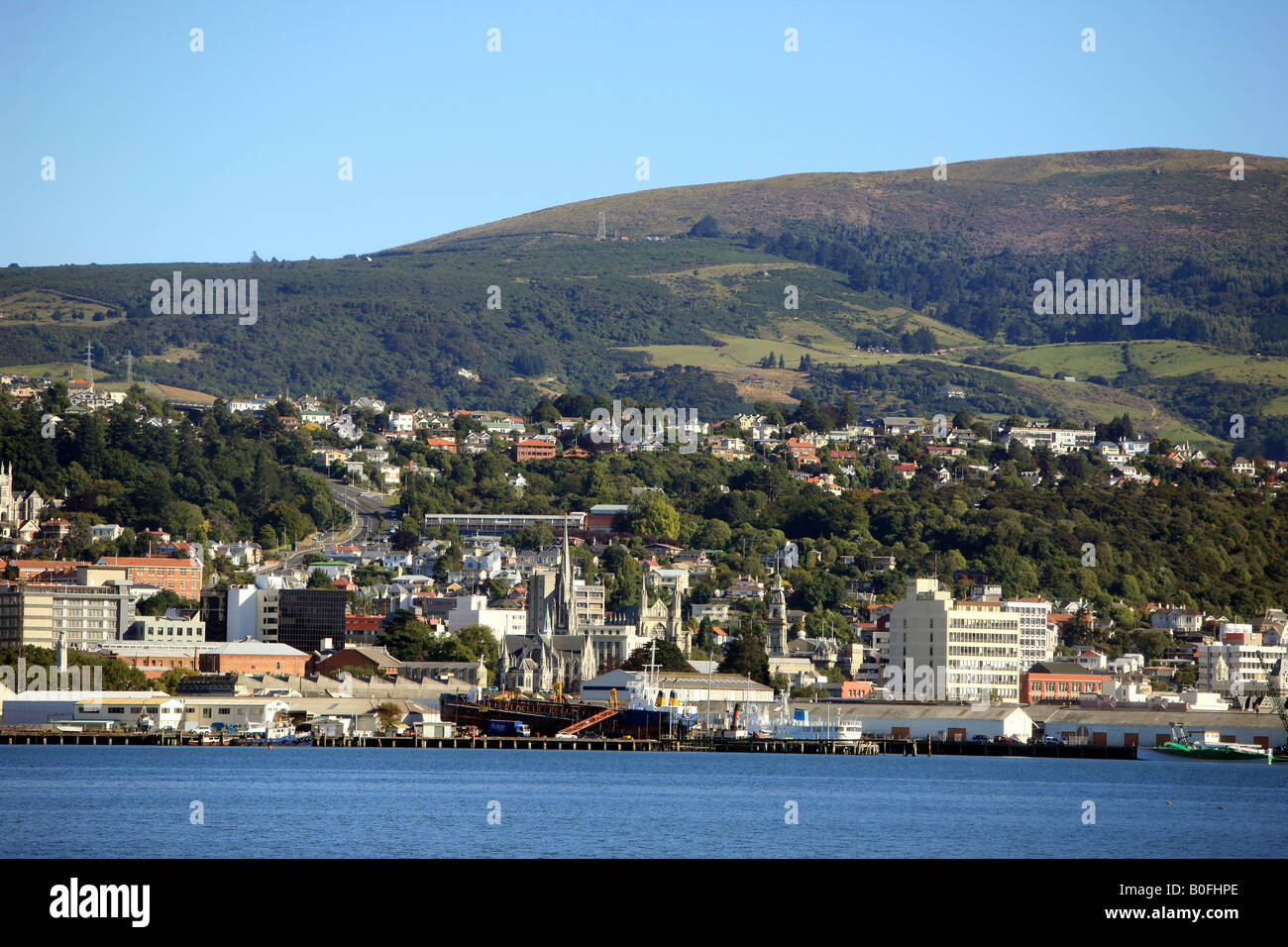 Dunedin from the road to the Otago peninsula Stock Photo - Alamy