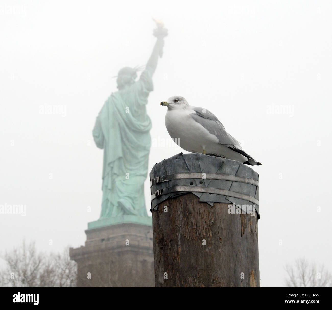 A bird sits in the foreground of the Statue of Liberty in peace ...
