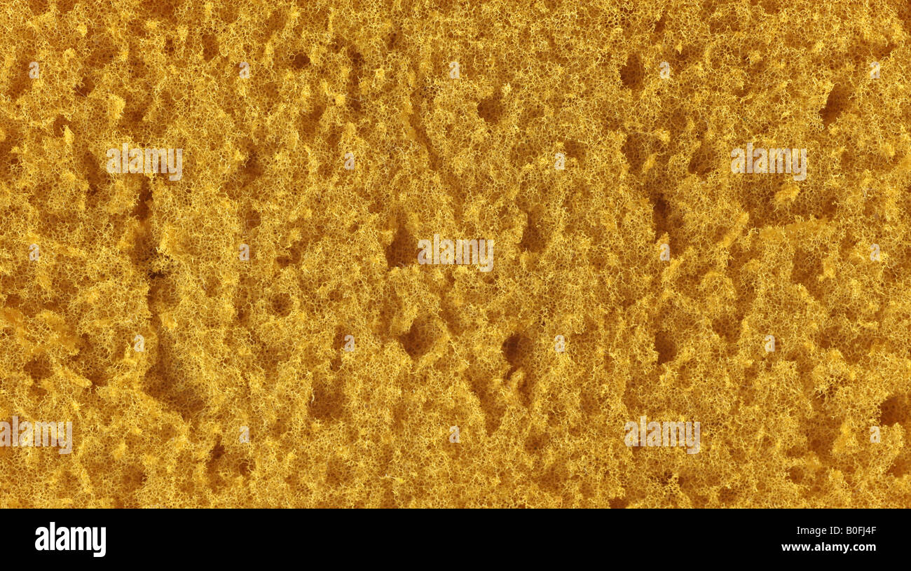 Worn Sponge Texture Stock Photo - Alamy